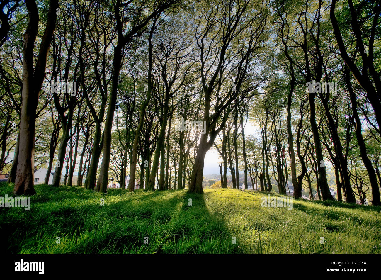 Ballycarry hi-res stock photography and images - Alamy