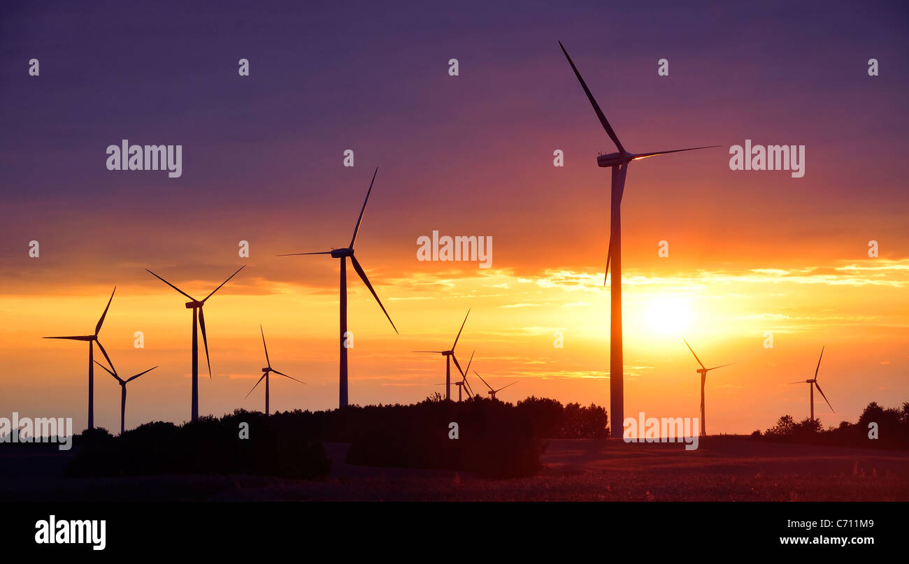 Wind turbines during beautiful sunset Stock Photo - Alamy