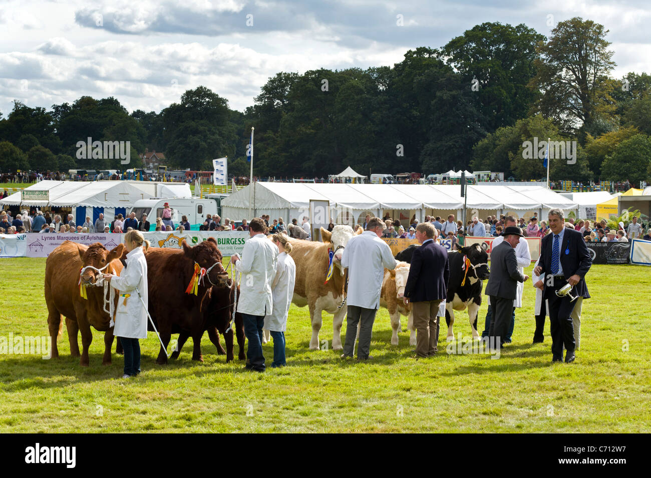 Awards ceremony for best cattle in show at the 2011 Aylsham ...