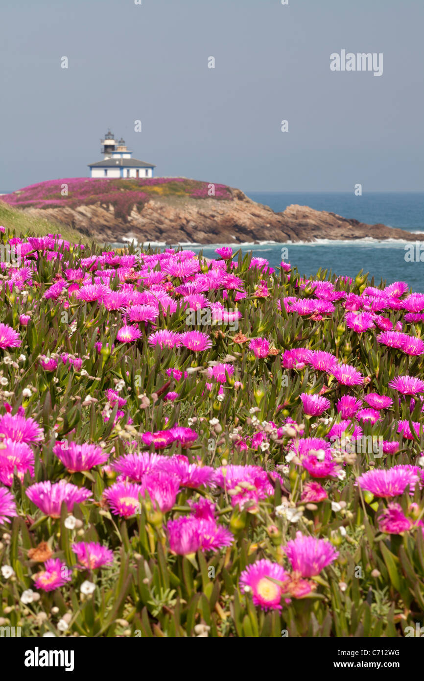 Lighthouse of Illa Pancha, Ribadeo, Lugo, Galicia, Spain Stock Photo ...