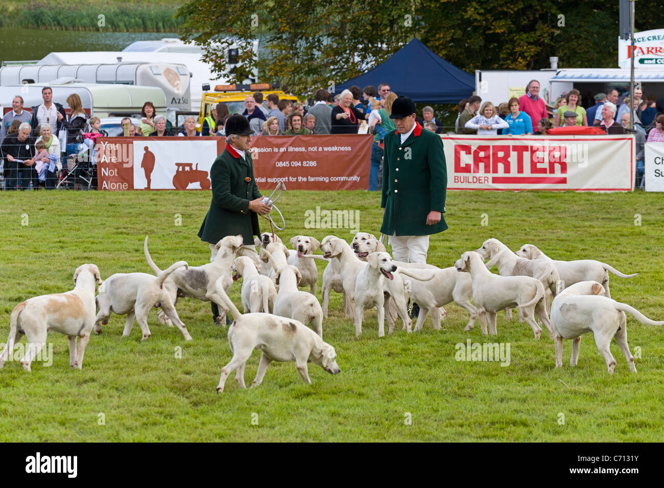 Huntsmen and hounds from the North Norfolk Harriers Hunt at the 2011 ...