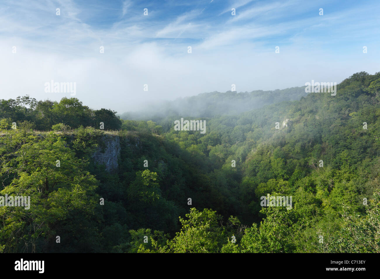 Serene misty morning view hi-res stock photography and images - Alamy