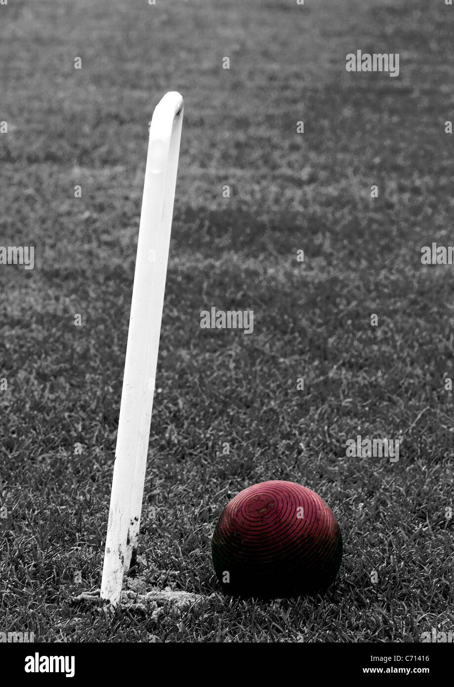 A Crokay game peg and ball with selective color so that only the red ...