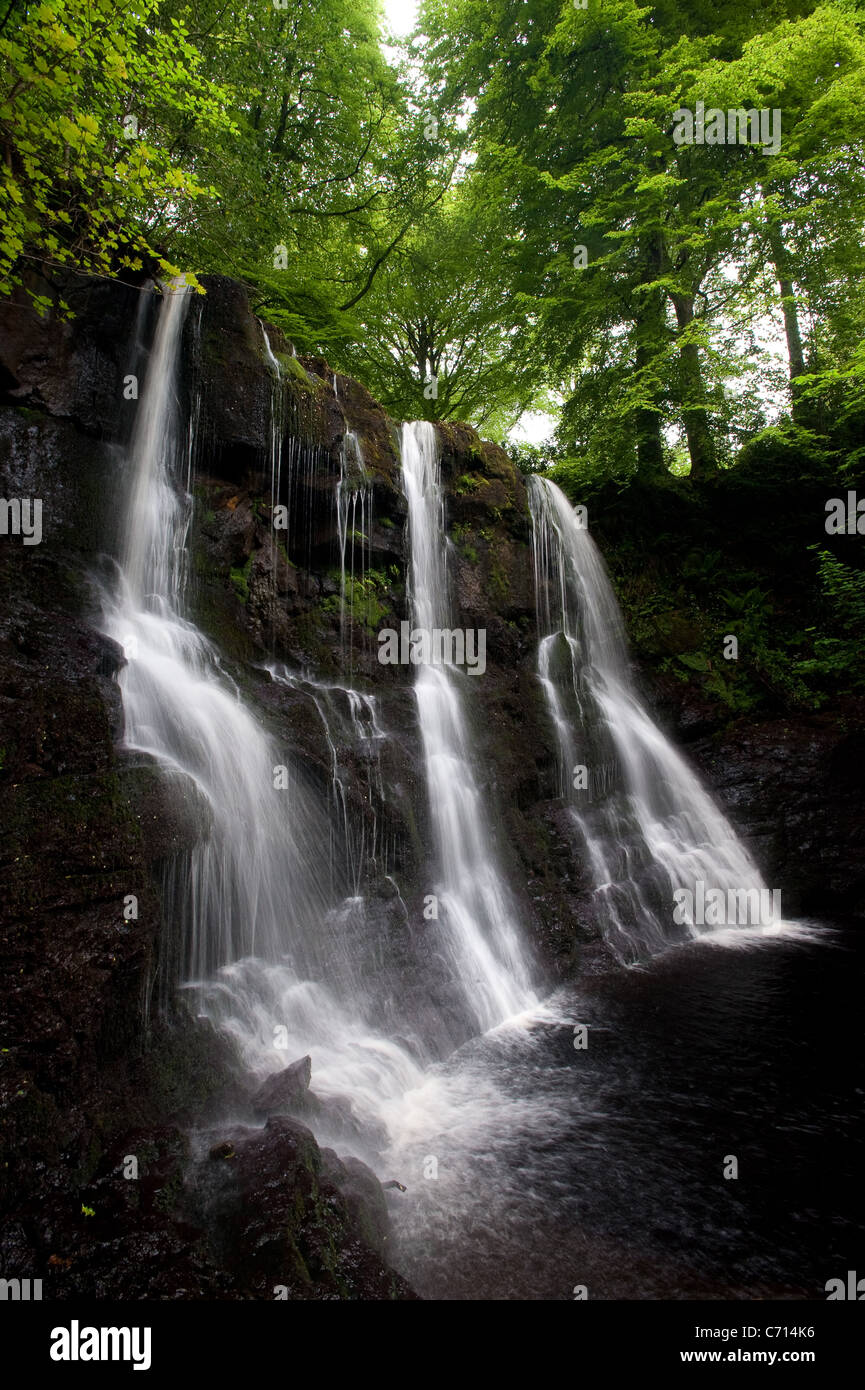 Waterfall at Glenariff Forest Park Stock Photo - Alamy
