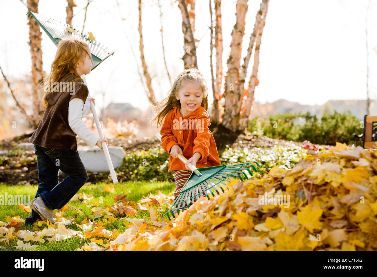 Two cute little girls raking autumn leaves Stock Photo - Alamy