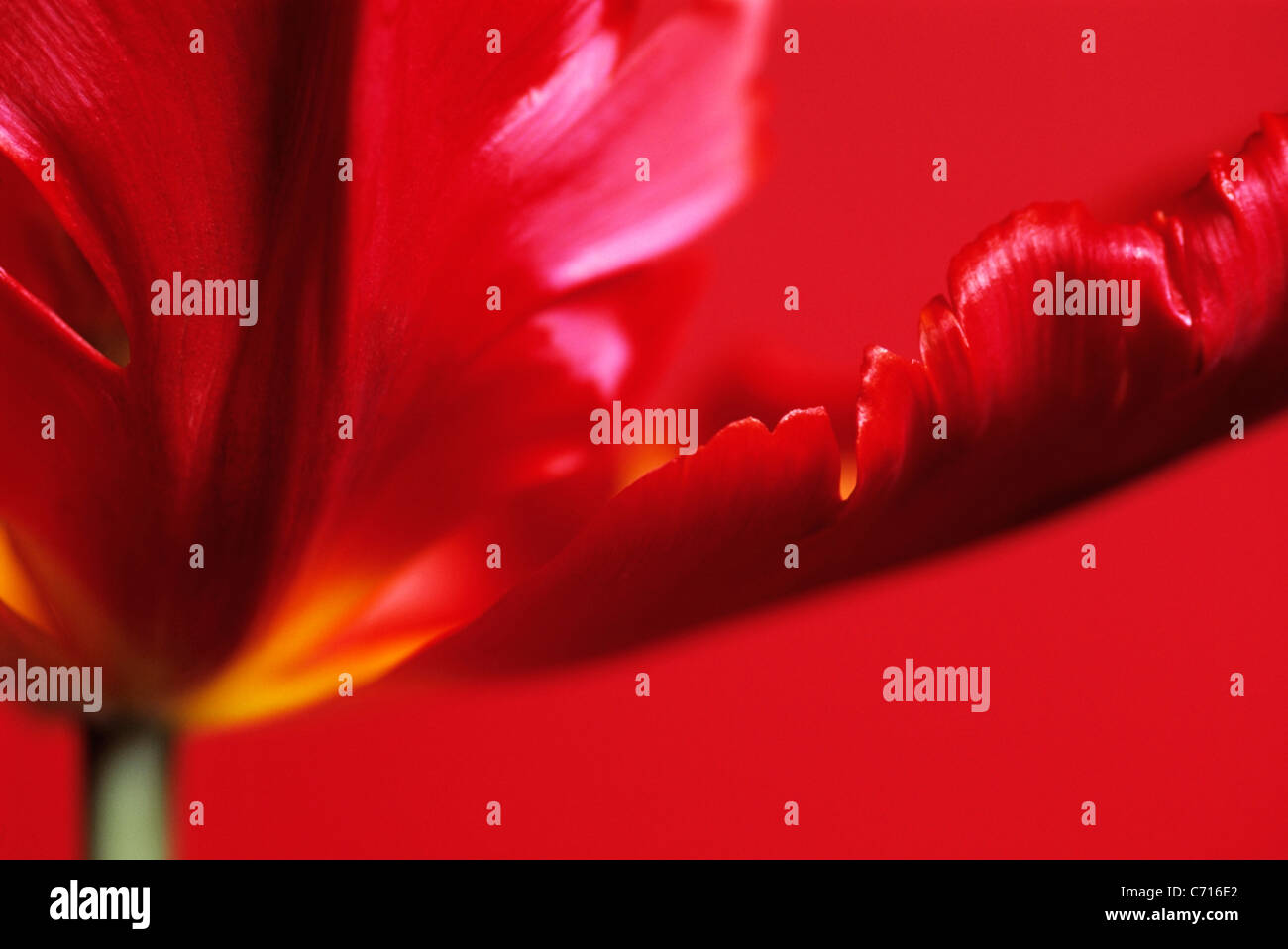 Subject facing hi-res stock photography and images - Alamy