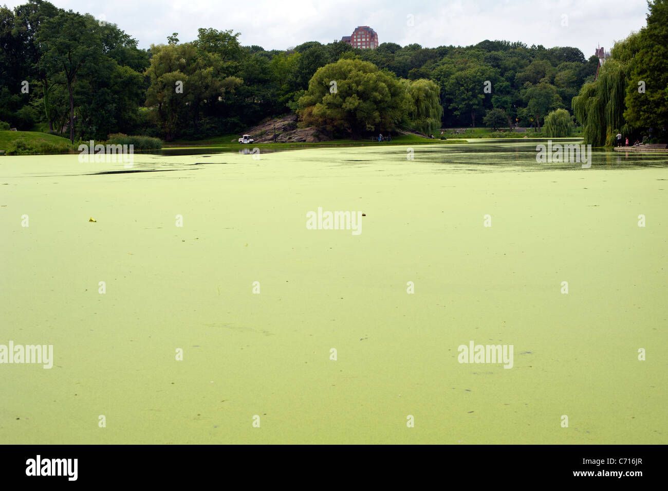 The Harlem Meer at the northern end of Central Park seen on Monday ...