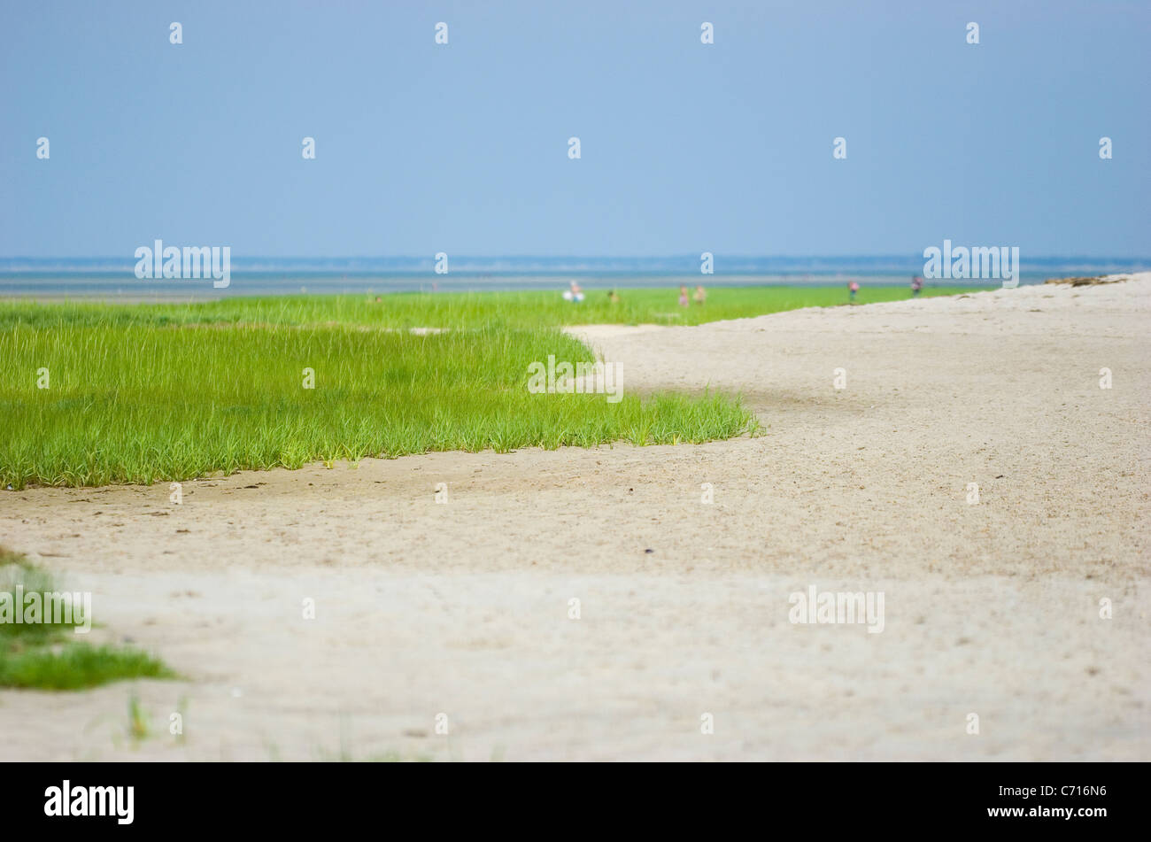 Seashorebeach hi-res stock photography and images - Alamy