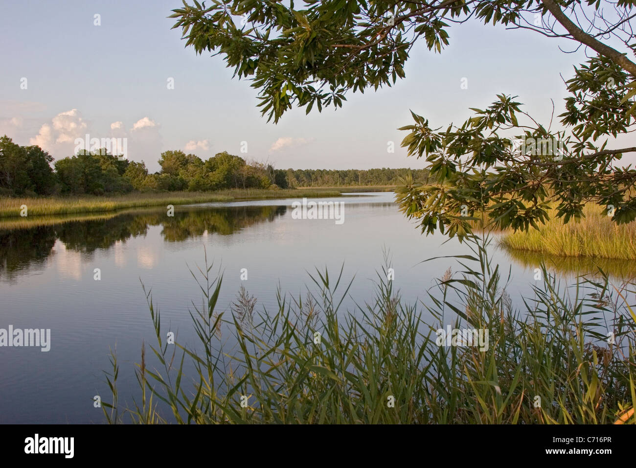 Elizabeth River estuary, Intracoastal Waterway, Chesapeake, Virginia ...