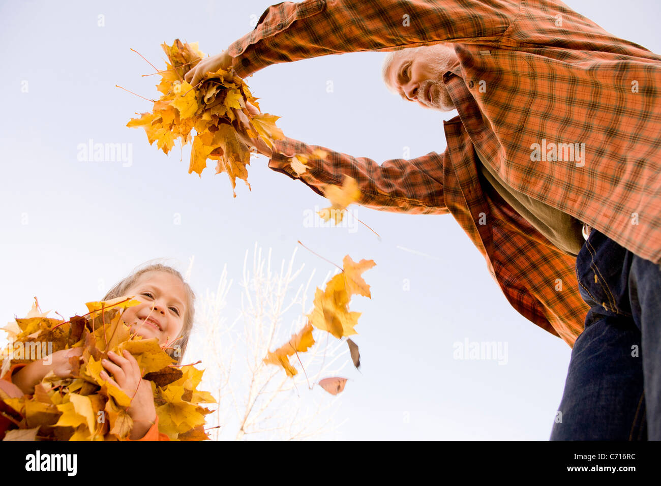 Grandfather and grandchild playing with autumn leaves Stock Photo - Alamy