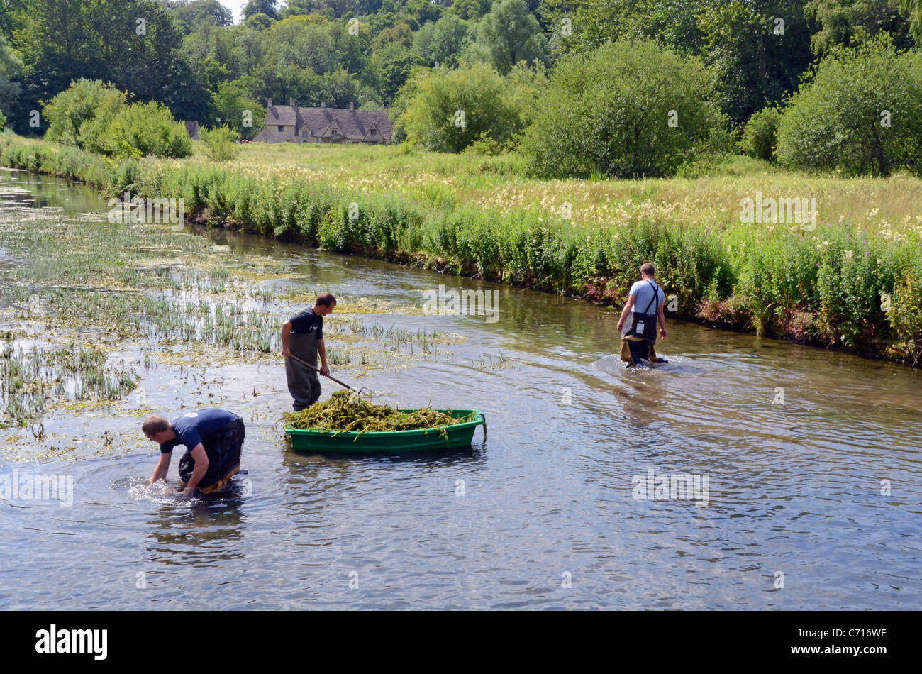 River clearing and cleaning, Bibury, Glos, England Stock Photo - Alamy