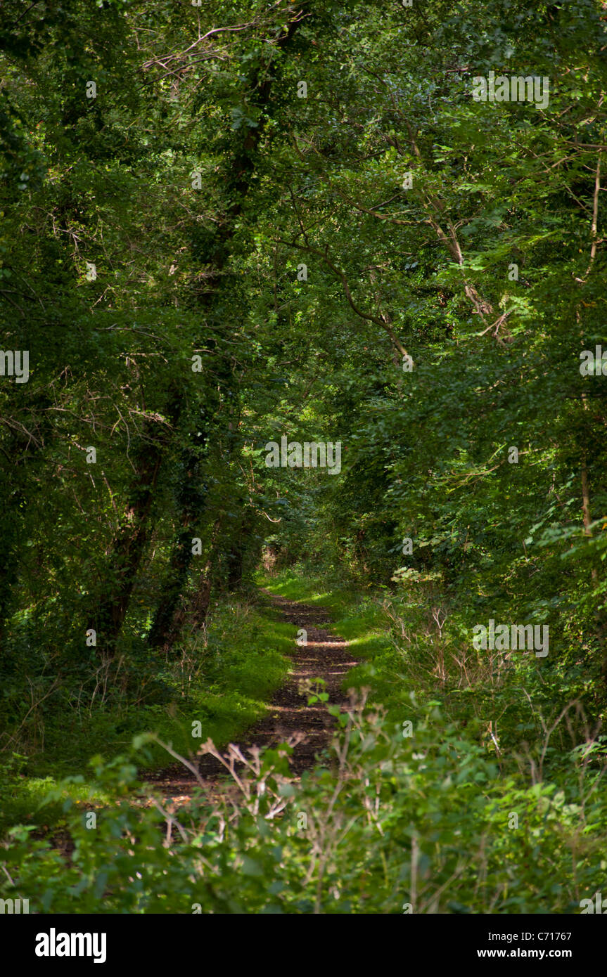 weavers way path Stock Photo - Alamy
