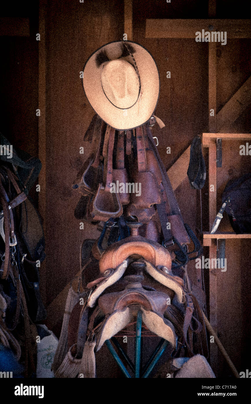Cowboy leatherwork hi-res stock photography and images - Alamy