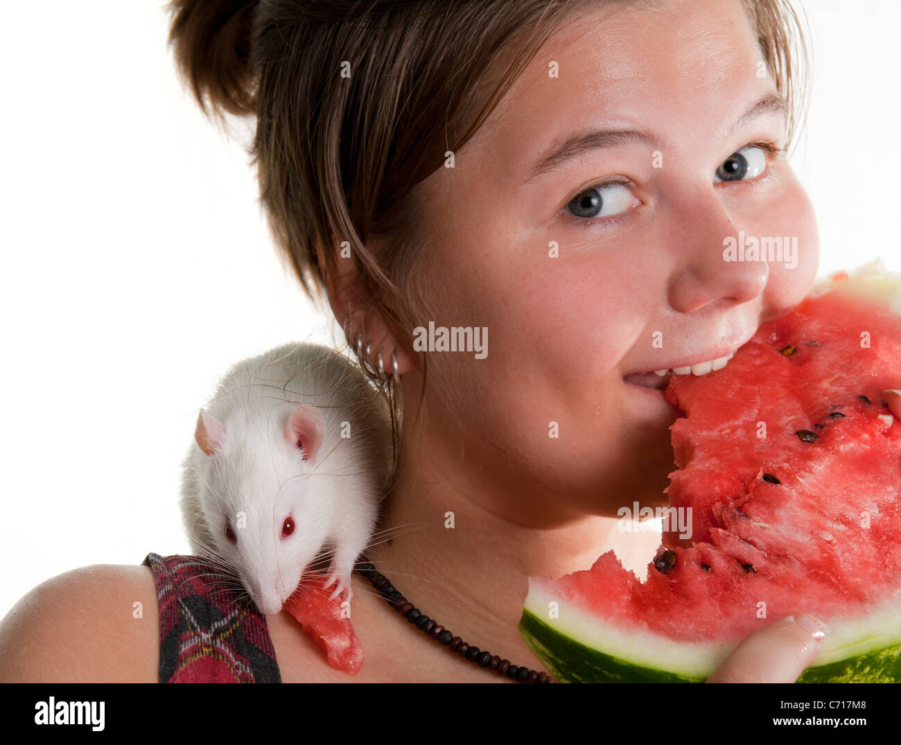 Girl and its pupil (white rat) eats a water-melon Stock Photo - Alamy