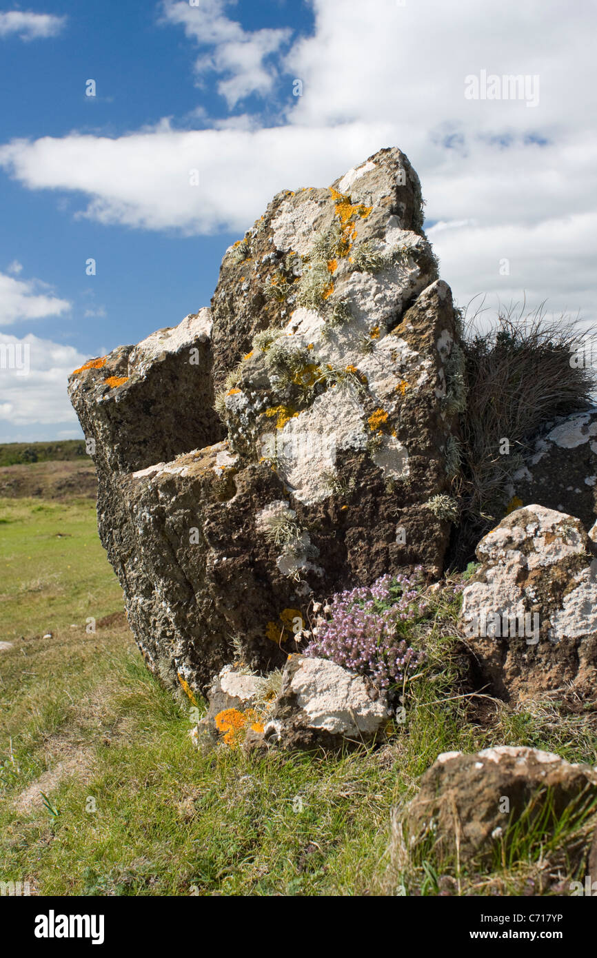 Keynance Cove Cornwall England UK Stock Photo - Alamy