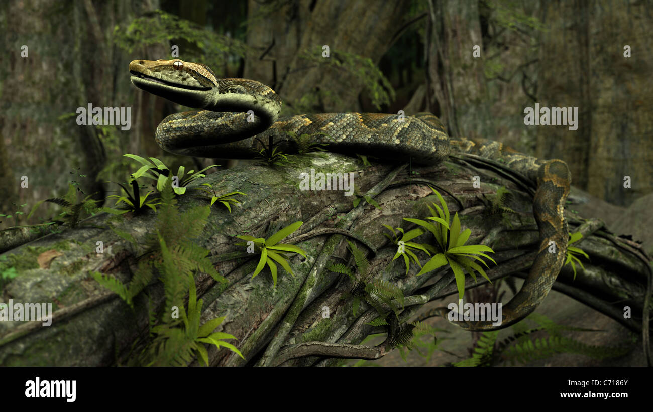green forest python Stock Photo - Alamy