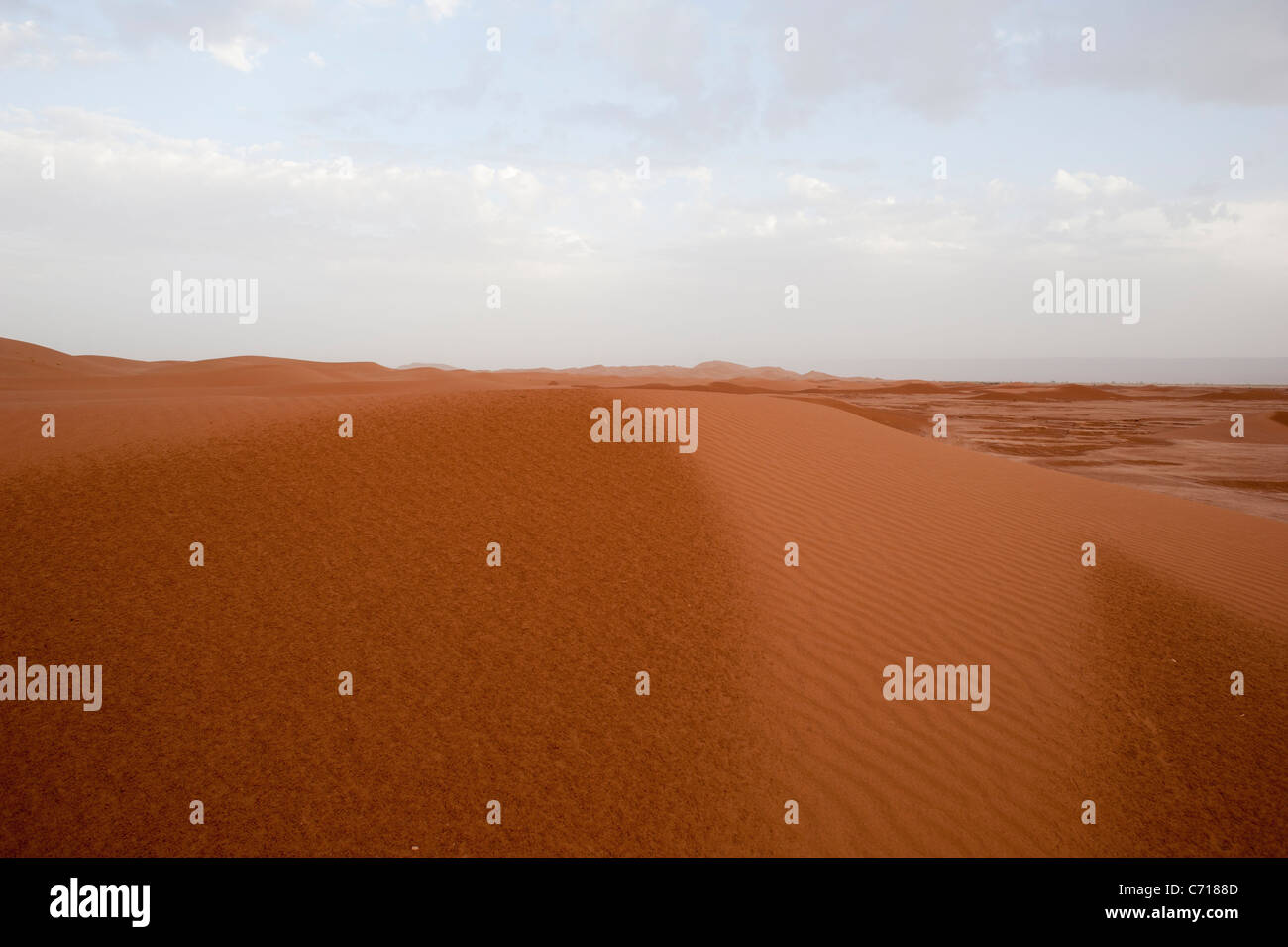 Sahara saharan desertification desert hi-res stock photography and ...