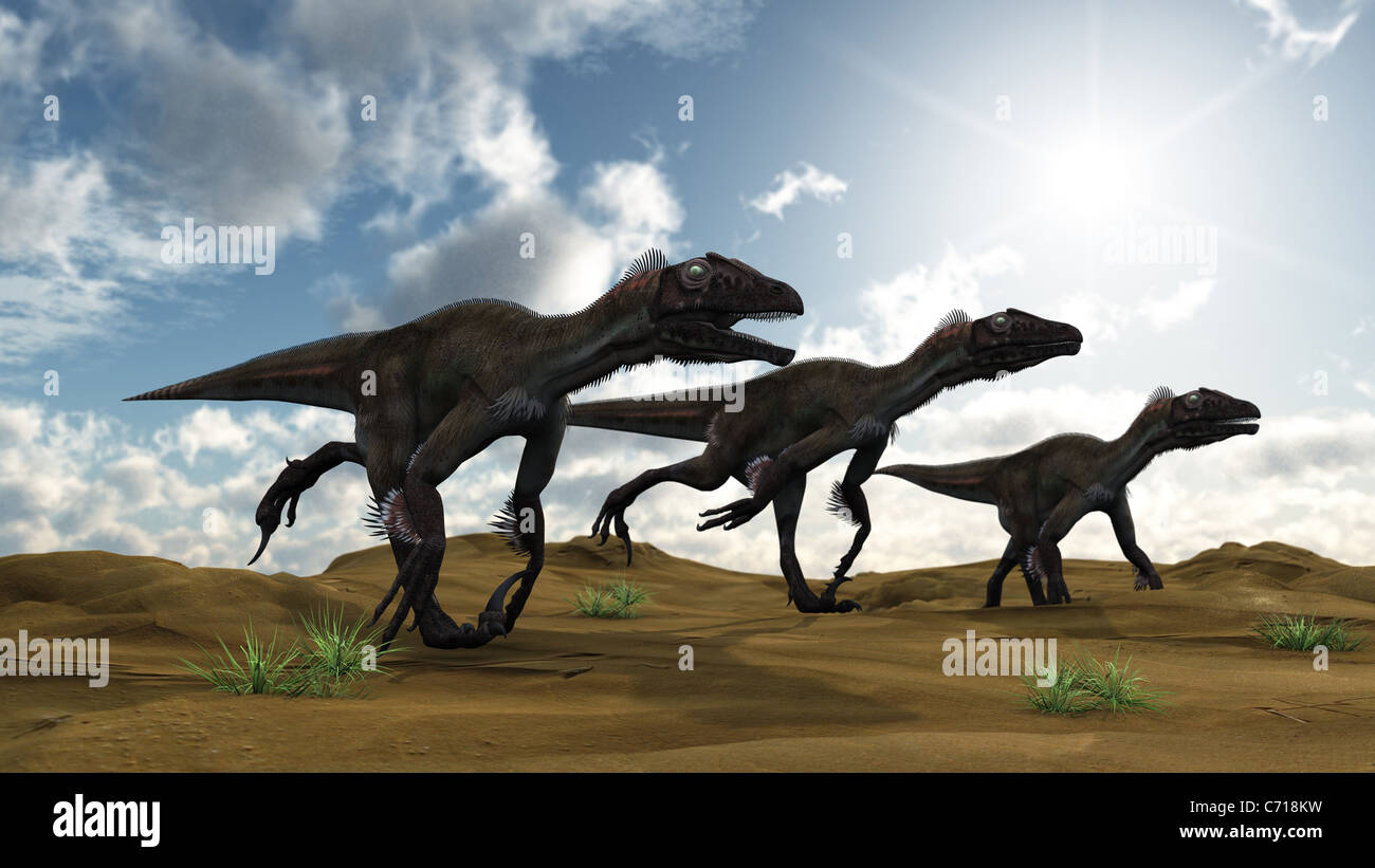 Utahraptor in desert Stock Photo - Alamy