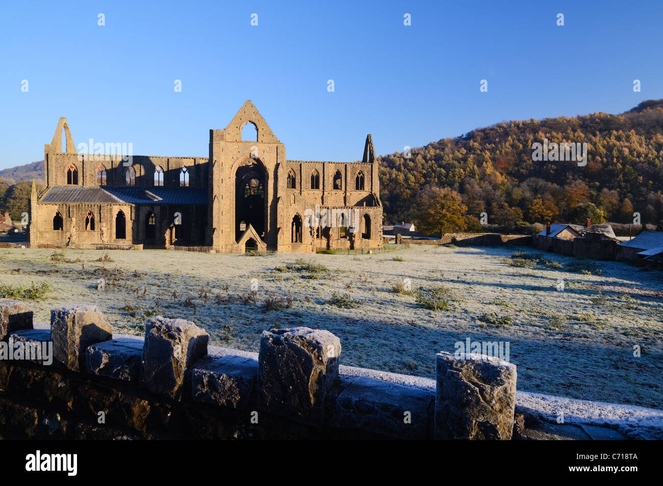 The ruins of Tintern Abbey on a frosty autumn morning. Tintern ...