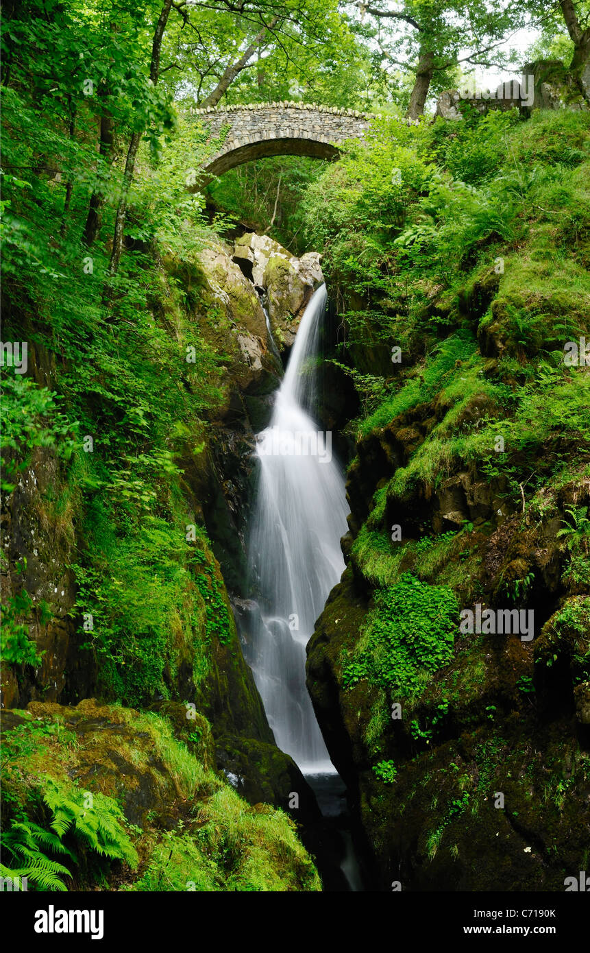 Aira Force Waterfall On Aira Beck In The Lake District National Park Aira Force Waterfall On Aira Beck In The Lake District National Park