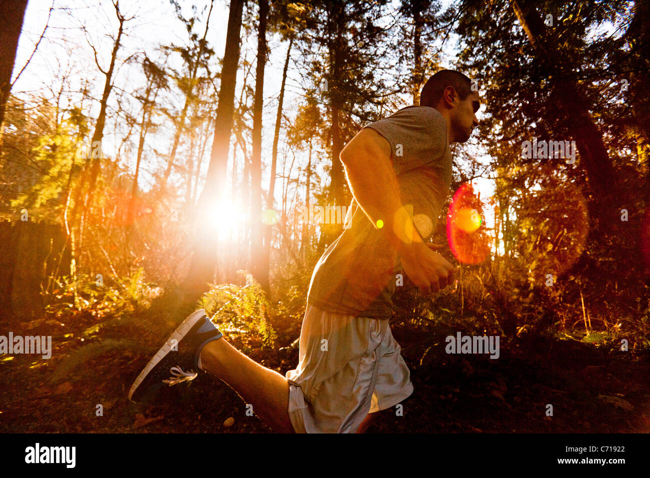 A man is trail running on a sunny morning Stock Photo - Alamy