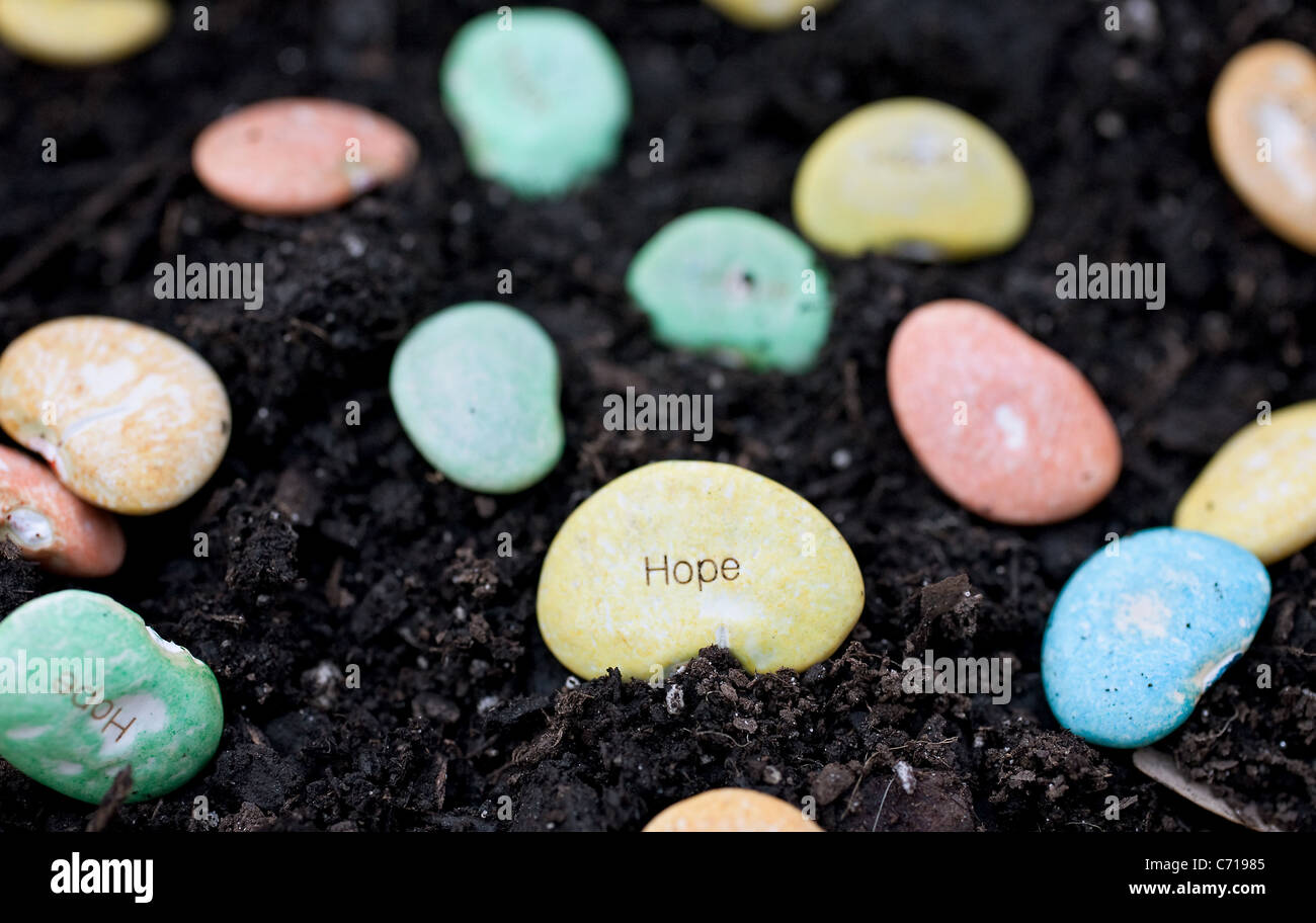 Seeds of hope with soil to plant them Stock Photo - Alamy