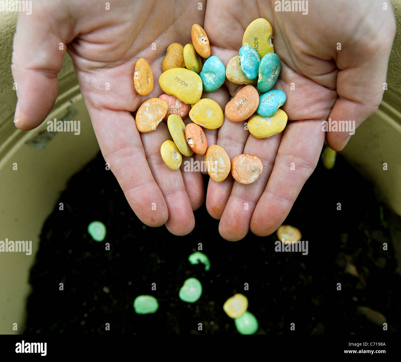Seeds of hope with soil to plant them Stock Photo - Alamy
