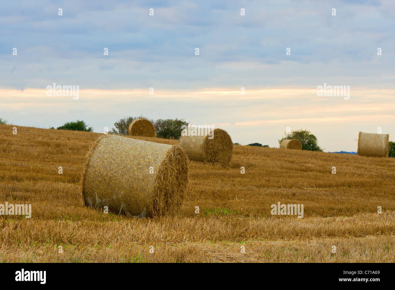 Rolled hay bails near sunset on a hill with a colorful sky Stock Photo ...