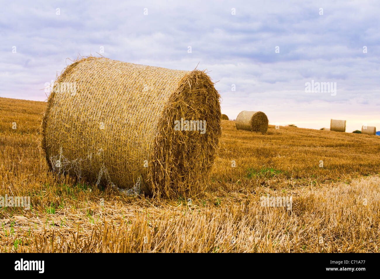 Rolled hay bails near sunset on a hill with a colorful sky Stock Photo ...