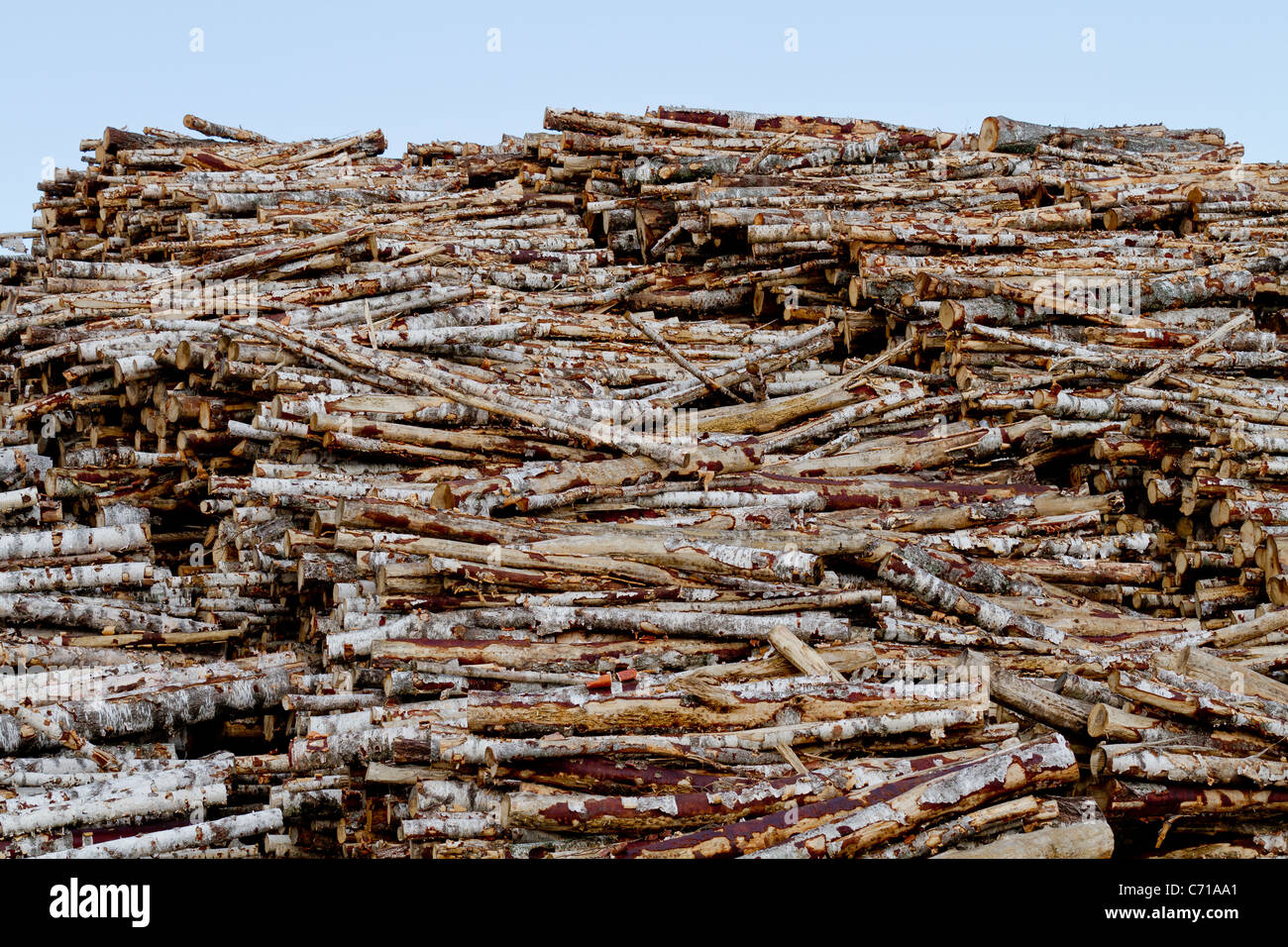 Pile of timber Stock Photo - Alamy