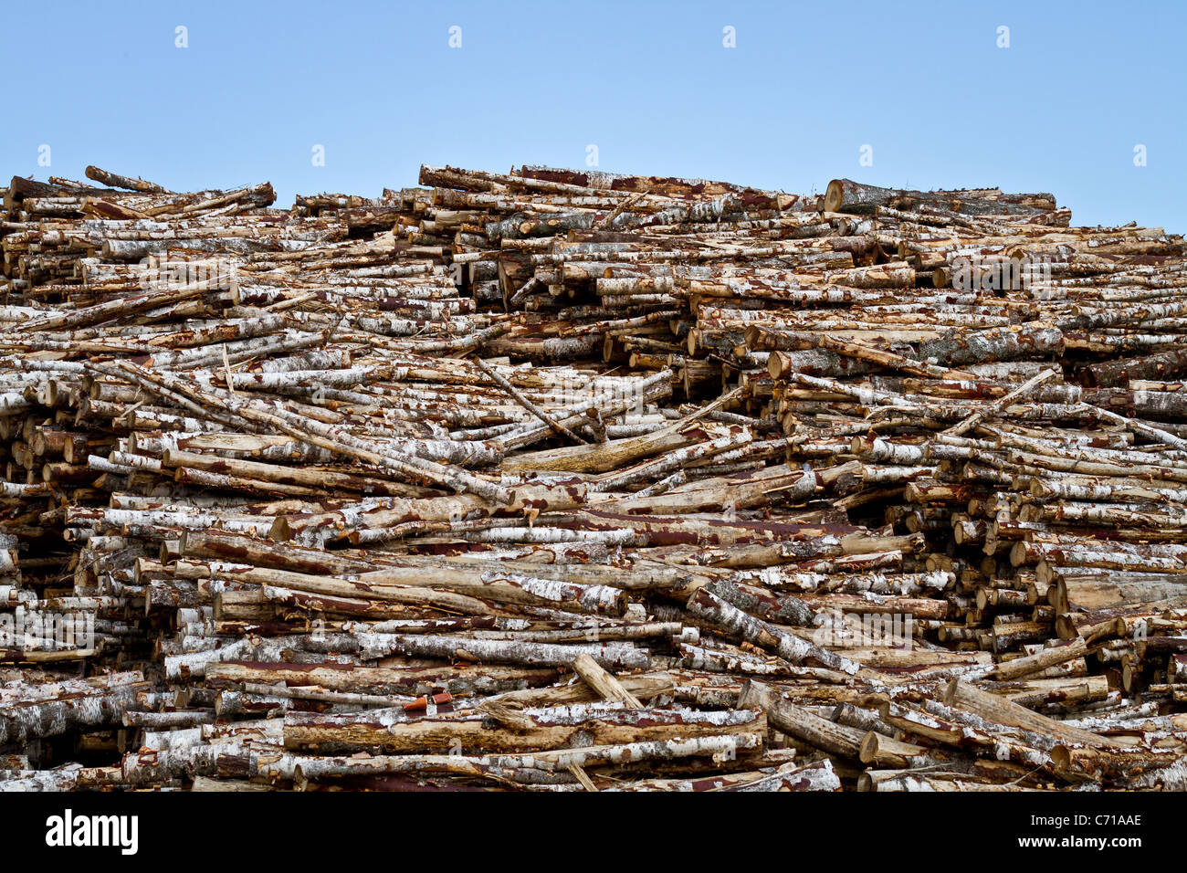 Pile of timber Stock Photo - Alamy