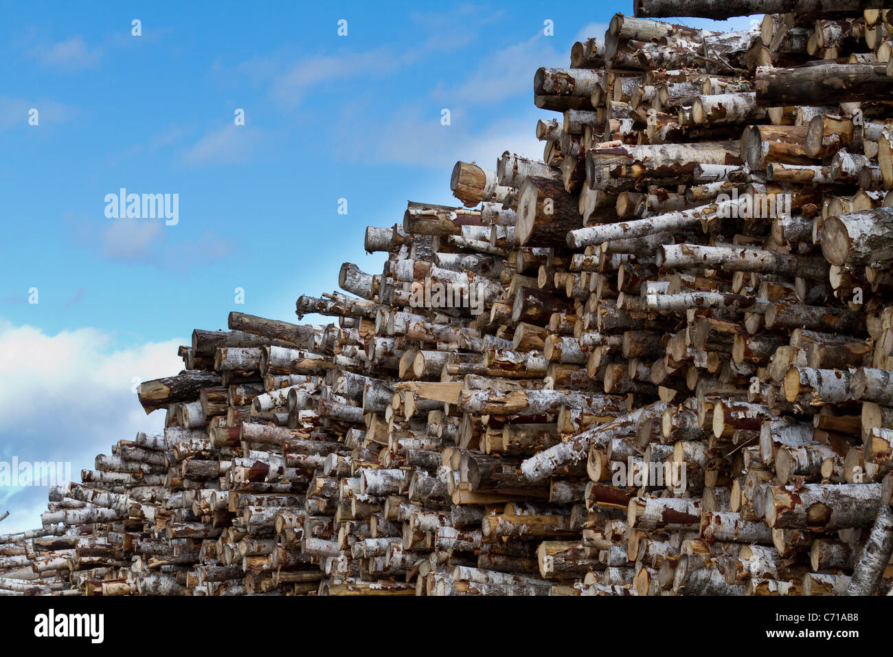 Pile of timber Stock Photo - Alamy