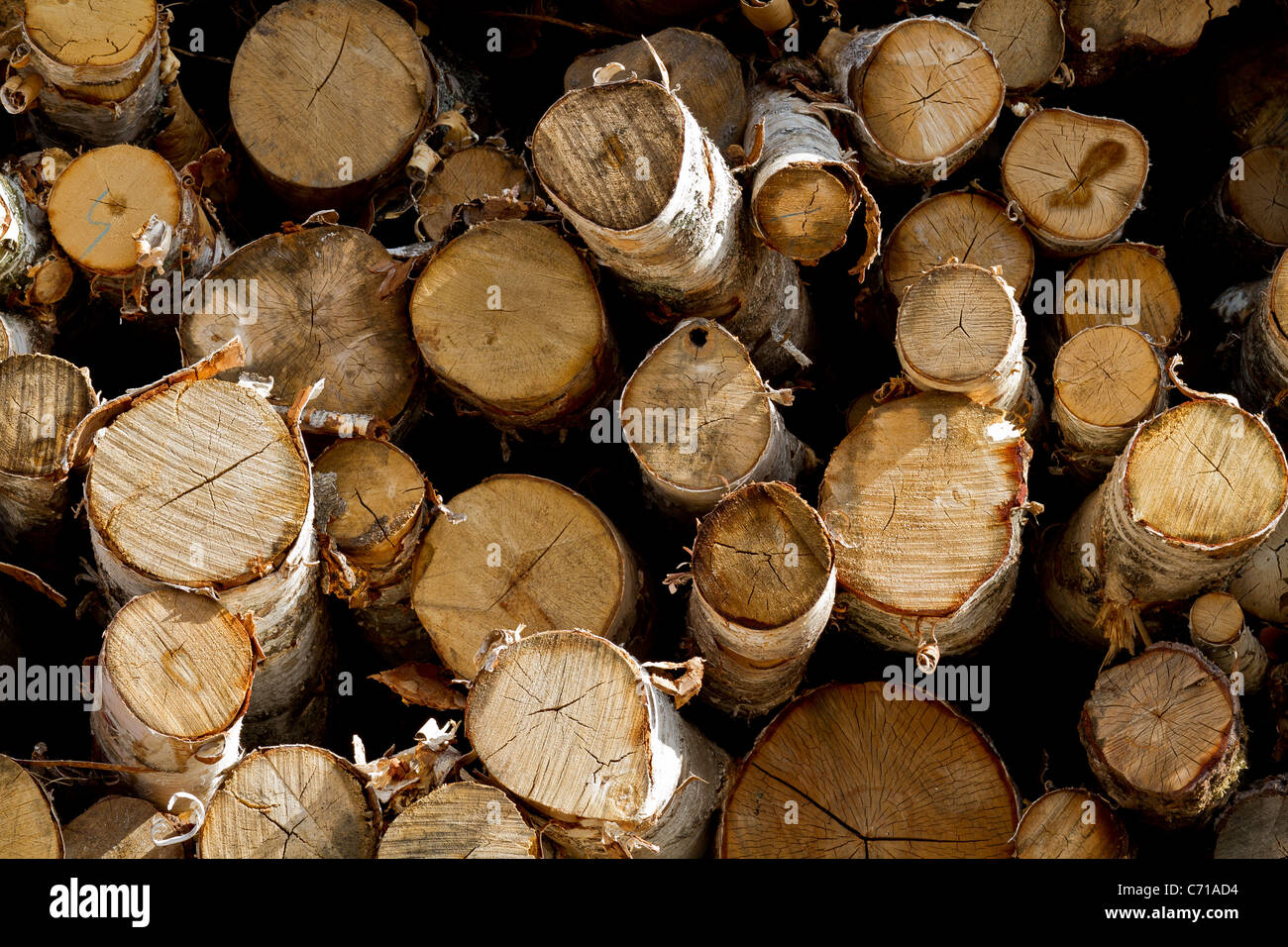 Pile of timber Stock Photo - Alamy
