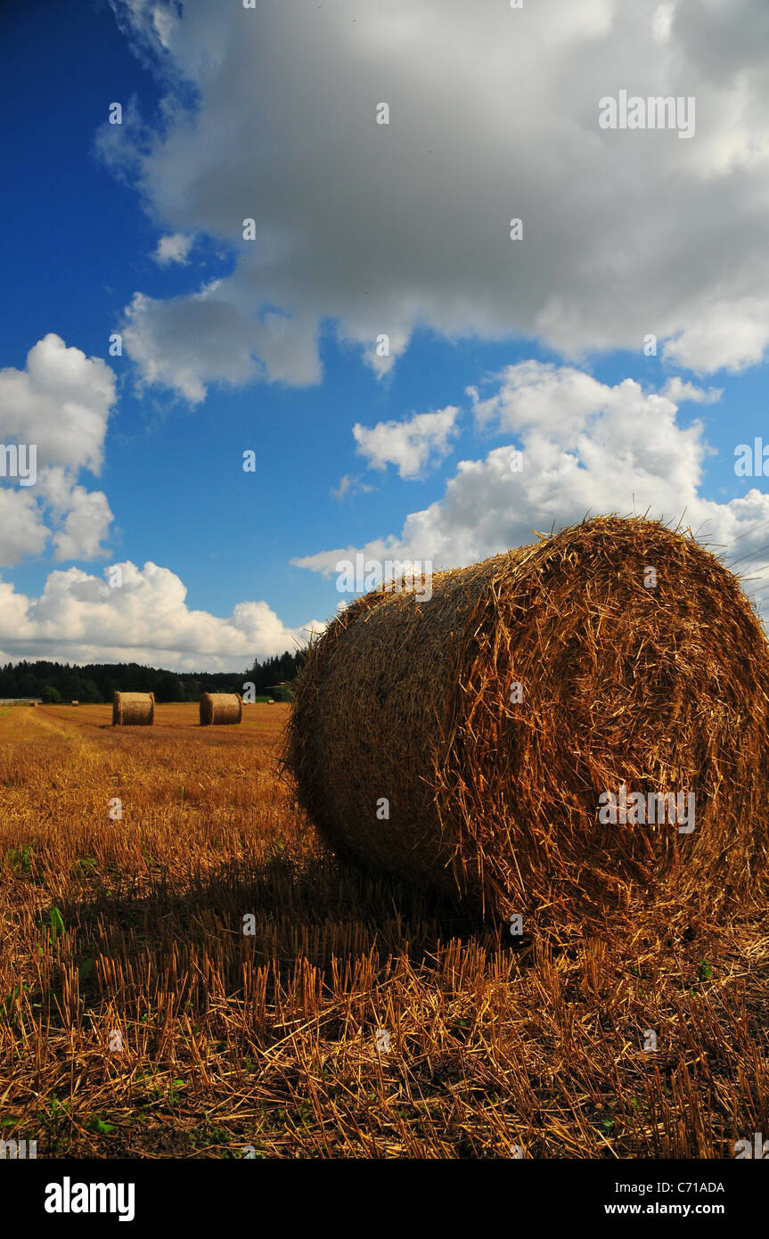 Life in the country Stock Photo - Alamy