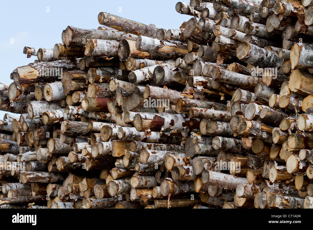 Pile of timber Stock Photo - Alamy