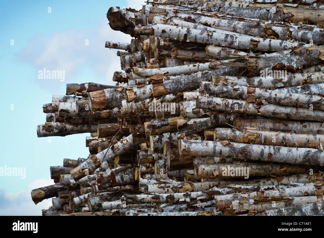 Pile of timber Stock Photo - Alamy