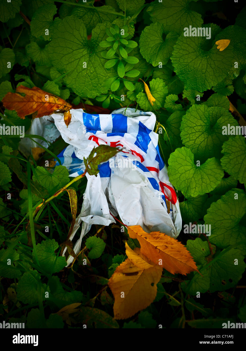 Discarded shopping bag Stock Photo - Alamy