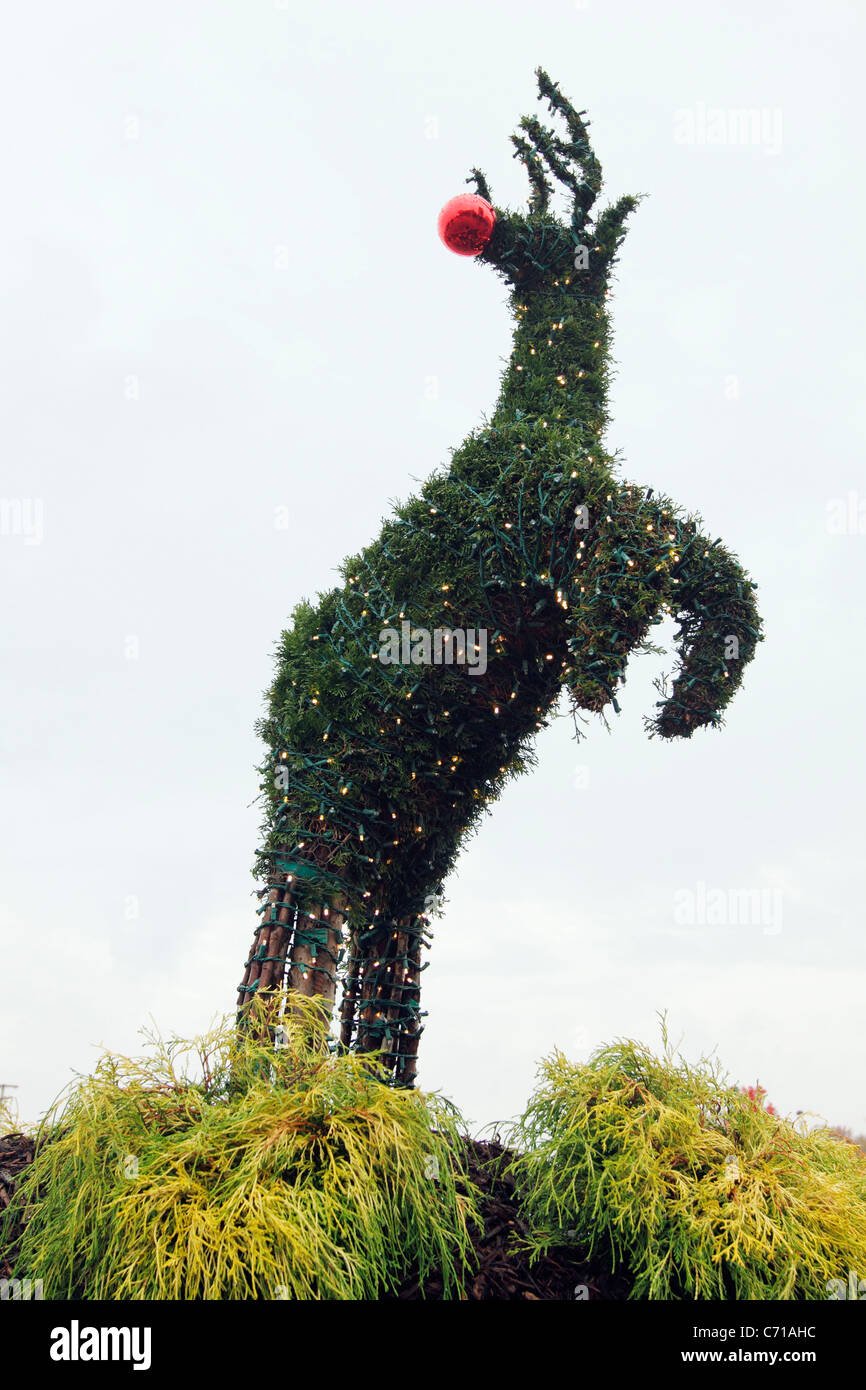 Sculpted shrubbery - a topiary - of a reindeer Stock Photo - Alamy