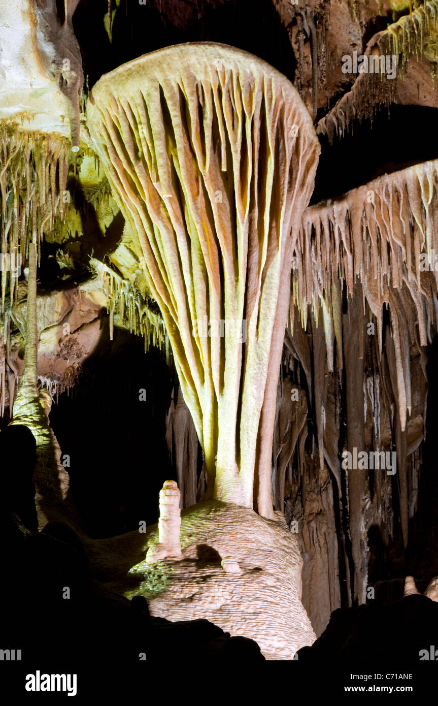 The famous Parachute Shield in the Lehman Caves, Great Basin National ...