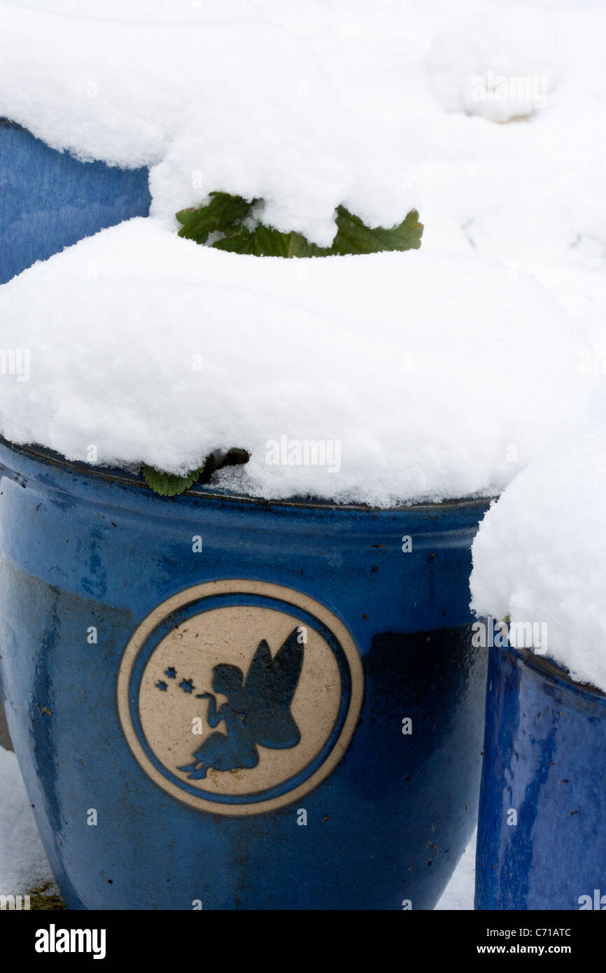 Blue fairy plant pot container covered in snow winter Stock Photo - Alamy