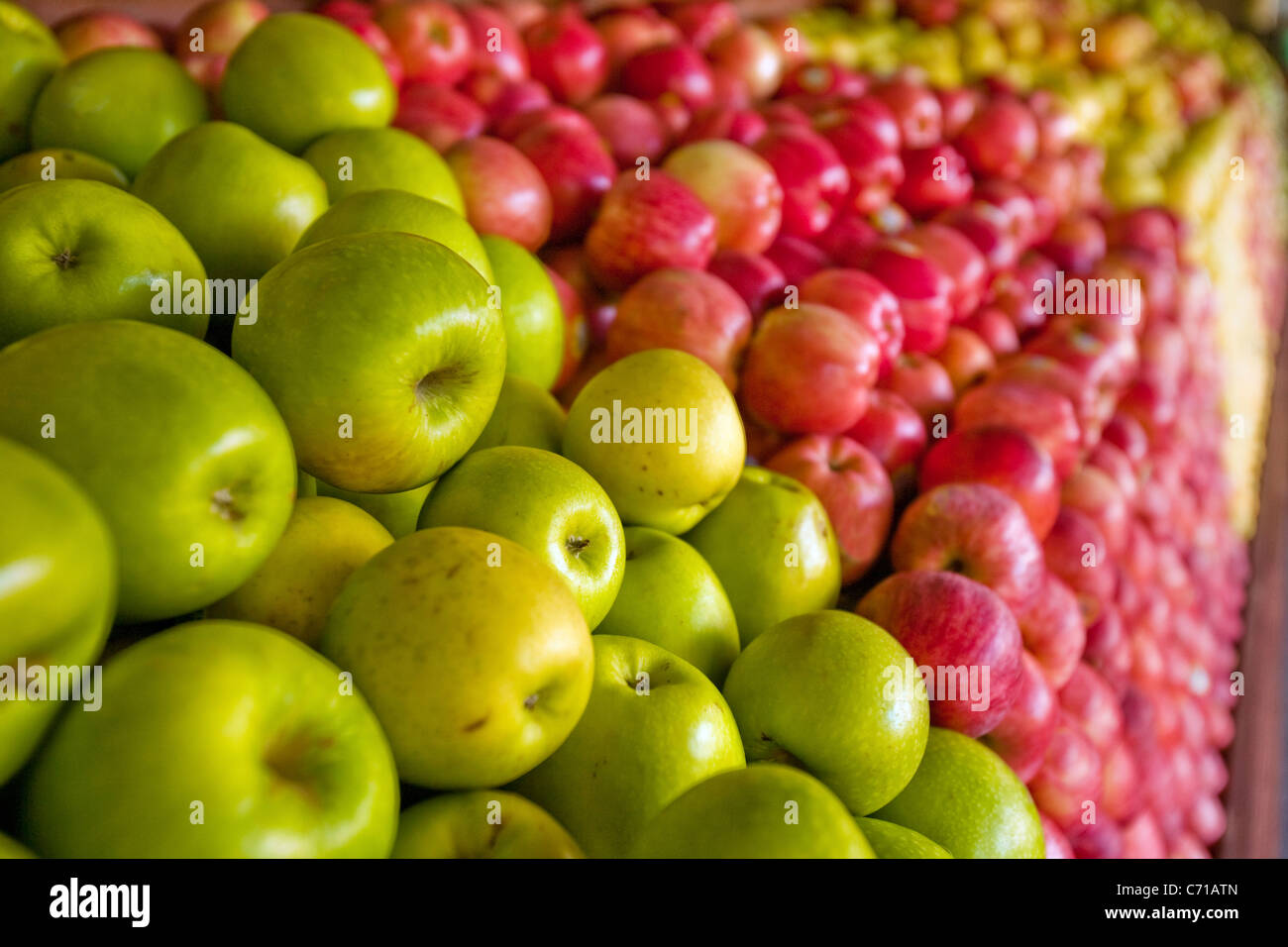 Red, green, yellow, apples lay in a pile at a fruit stand in Maryland ...