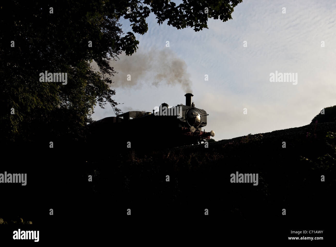 Cornish Branch Line Steam Stock Photo - Alamy