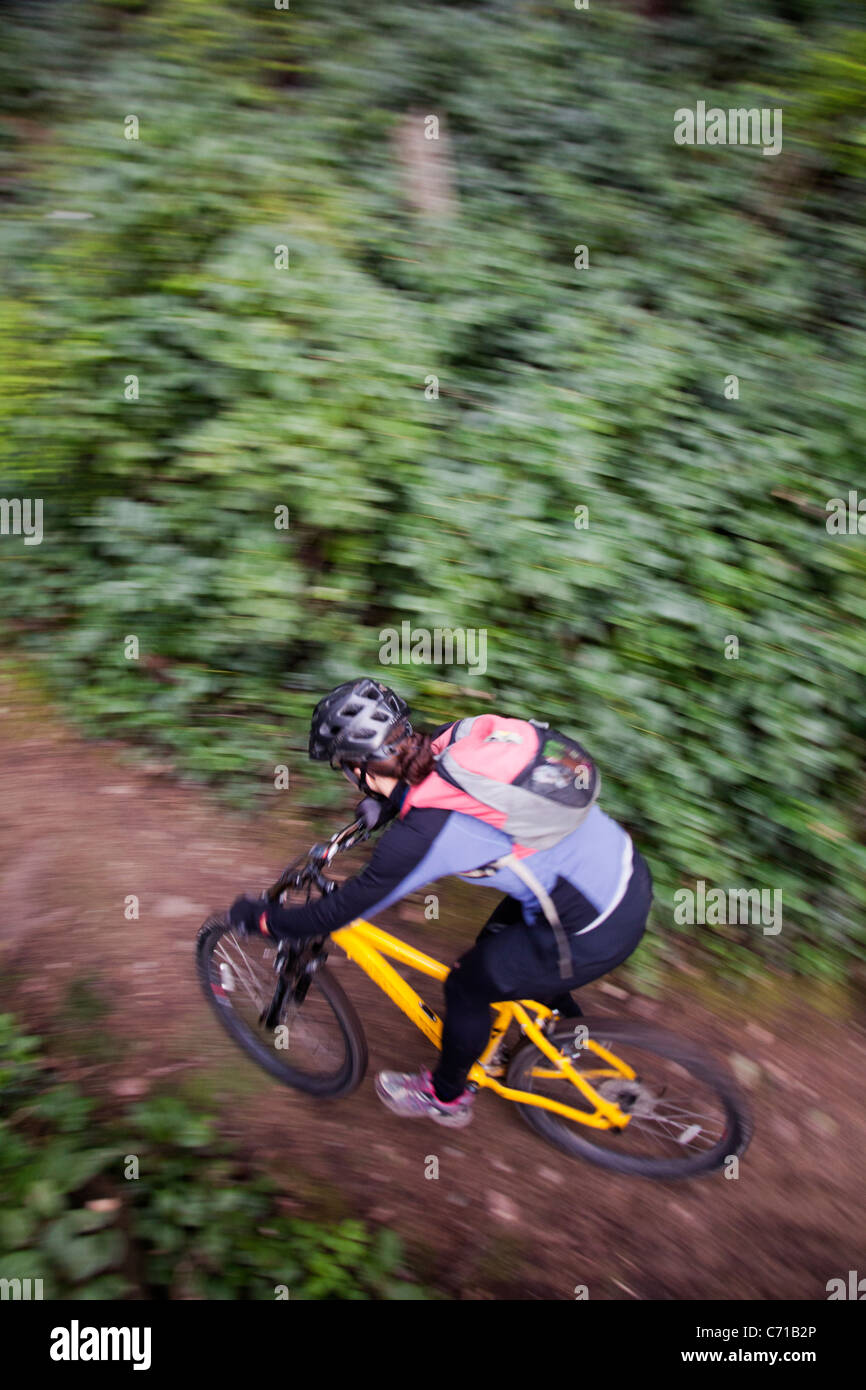 A woman winds through a single track mountain bike trail Stock Photo ...