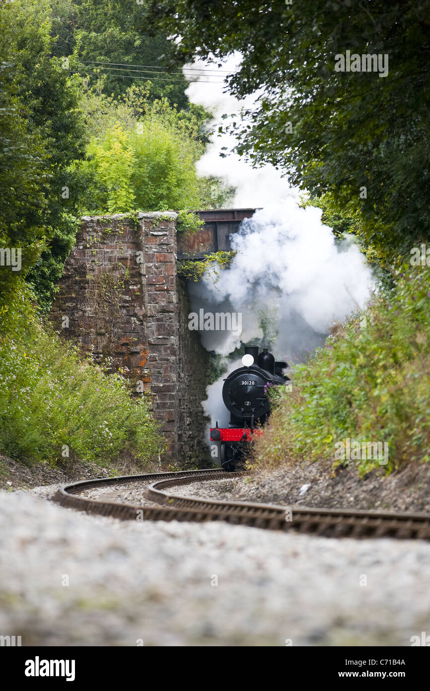 Cornish Branch Line Steam Stock Photo - Alamy