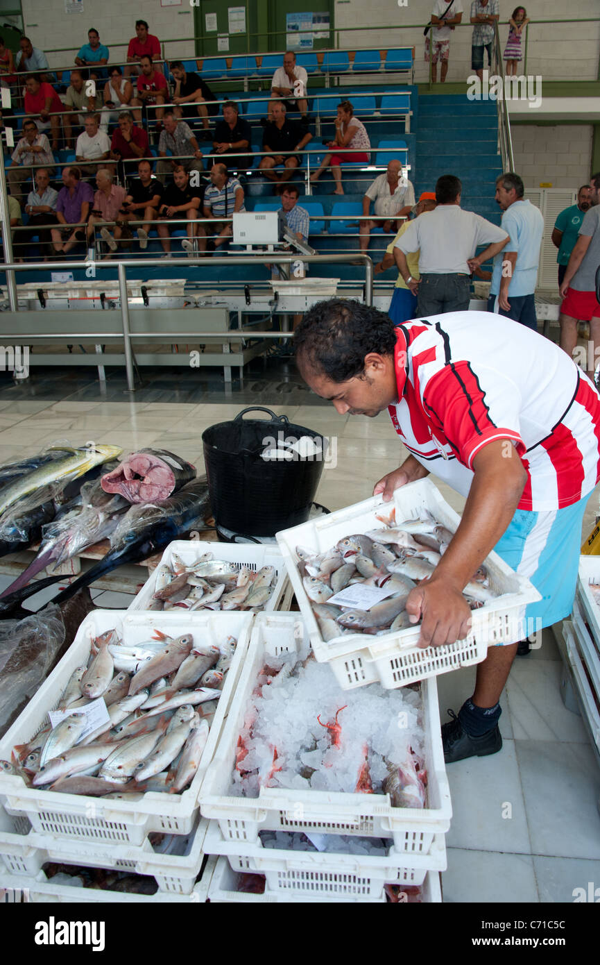Fish market, Garrucha, Spain Stock Photo - Alamy