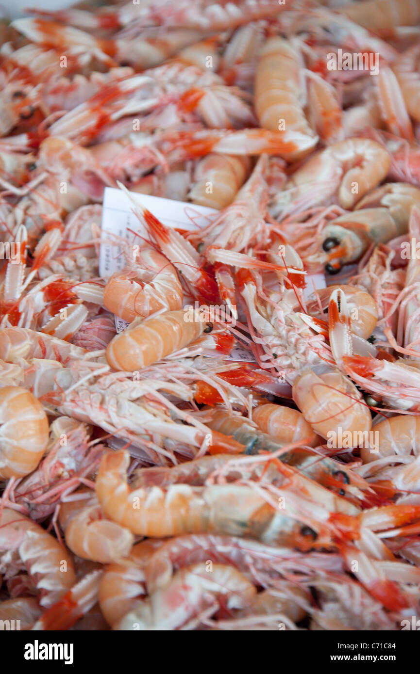 Prawns in tub in fish market, Spain Stock Photo - Alamy