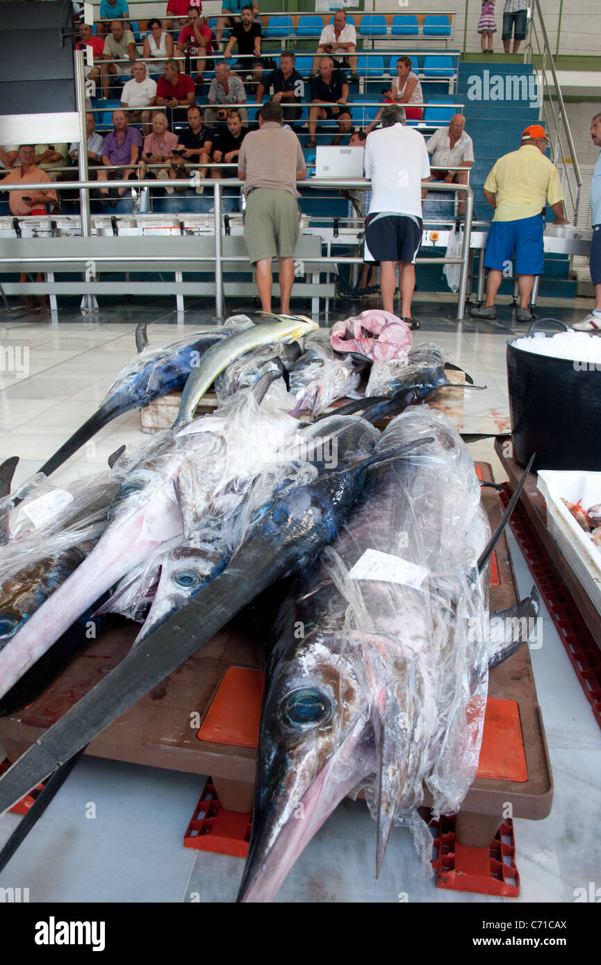 Garrucha fish market hi-res stock photography and images - Alamy