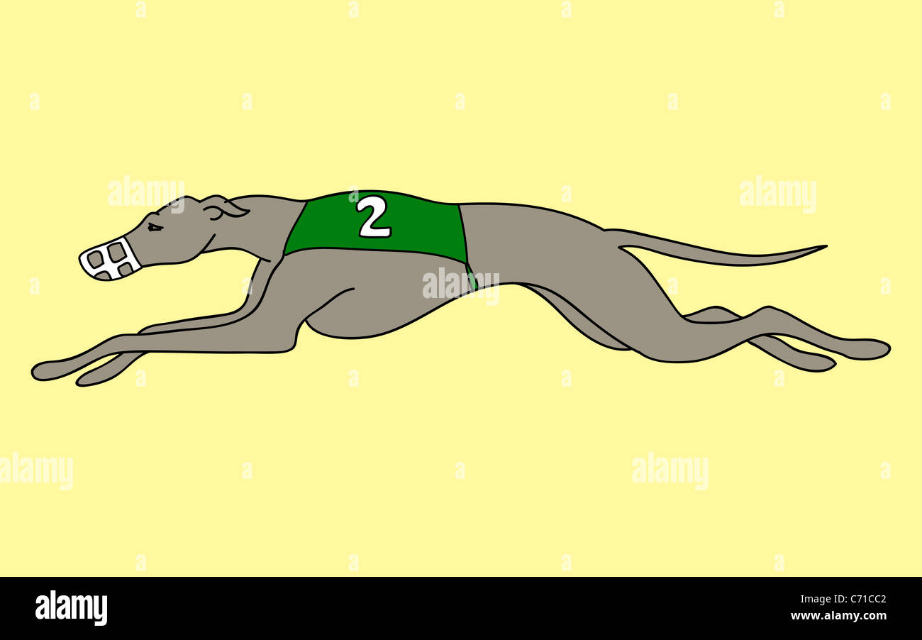 Racing greyhound illustration - exclusive only to Alamy Stock Photo - Alamy