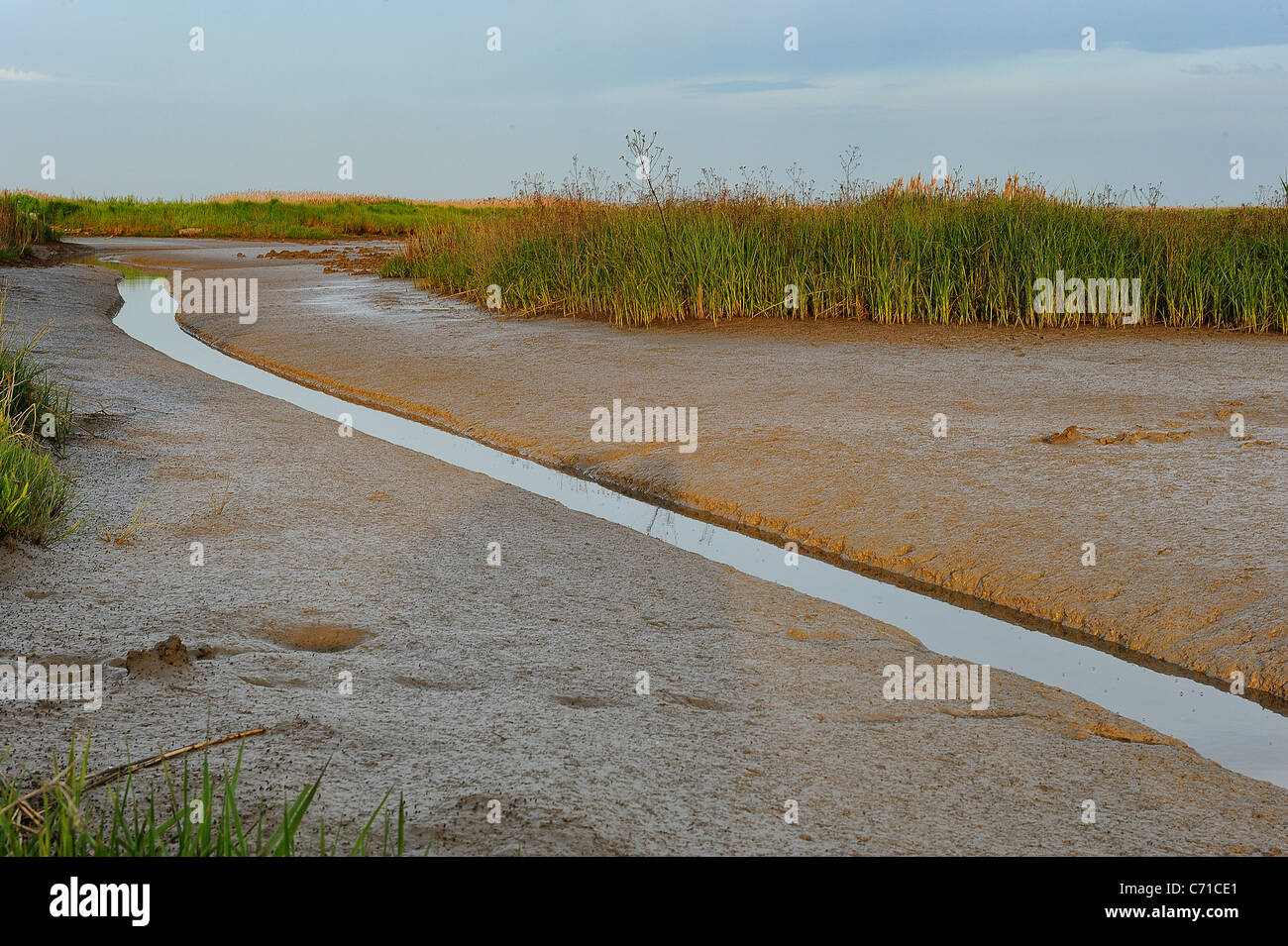 Dry soil and cracked mud in the swamps in Mortagne sur Gironde, Gironde ...