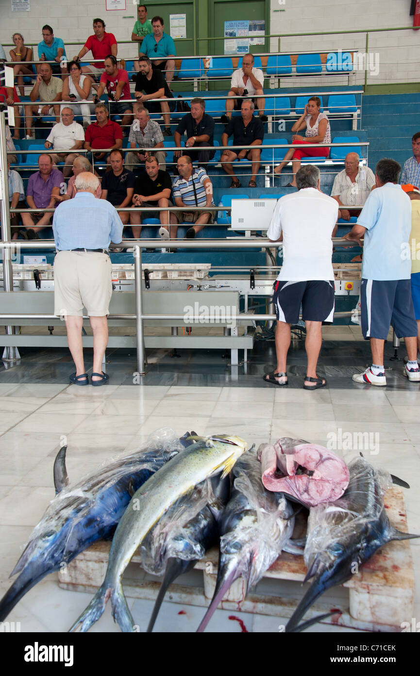 Fish market, Garrucha, Spain Stock Photo - Alamy